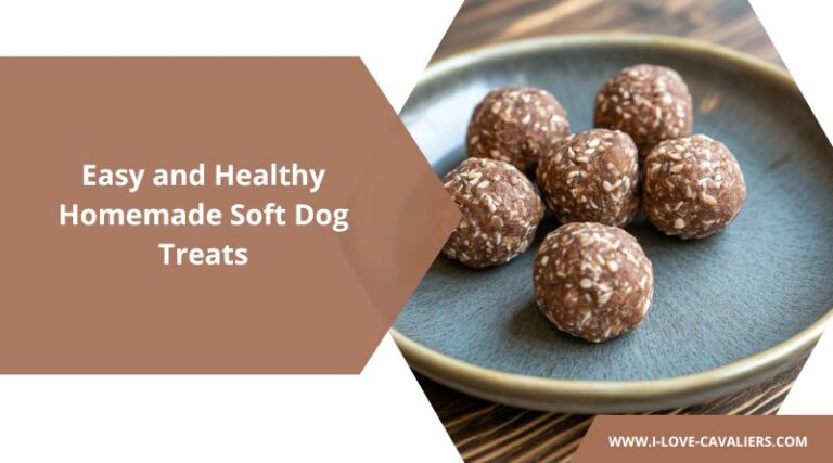 6 Easy and Healthy Homemade Soft Dog Treats