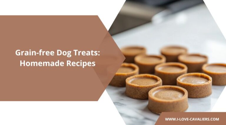 Grain-free Dog Treats: 10 Easy Homemade Recipes