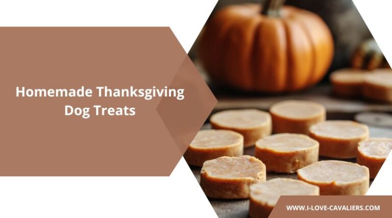 10 Homemade Thanksgiving Dog Treats