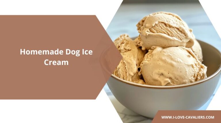 3-Ingredient Homemade Dog Ice Cream