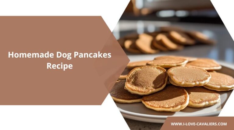 Homemade Dog Pancakes