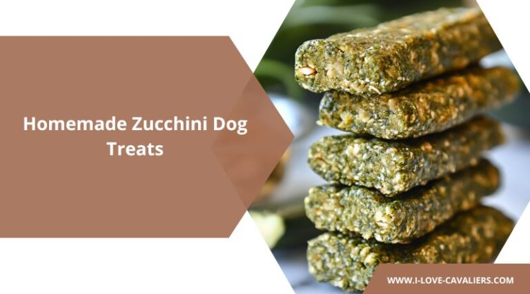 3 Best Homemade Zucchini Dog Treats