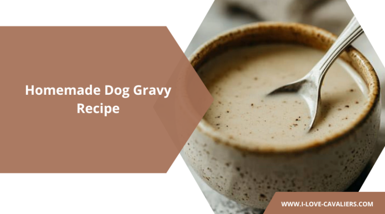 Homemade Dog Gravy Recipe: A Delicious and Nutritious Topper