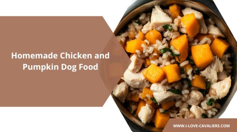 Homemade Chicken and Pumpkin Dog Food Recipe