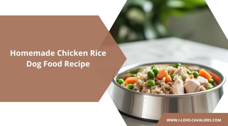 Homemade Chicken and Rice Dog Food Recipe