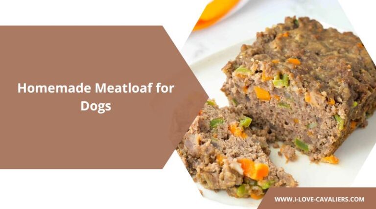 Homemade Meatloaf for Dogs: A Wholesome and Flavorful Meal