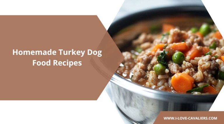 3 Homemade Turkey Dog Food Recipes: A Healthy Choice for Your Furry Friend