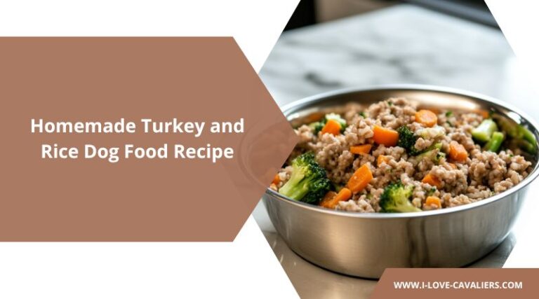 Homemade Turkey and Rice Dog Food Recipe