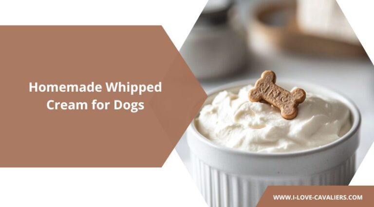 Homemade Whipped Cream for Dogs
