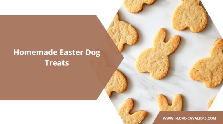 Homemade Easter Dog Treats: Delight Your Pup This Holiday Season