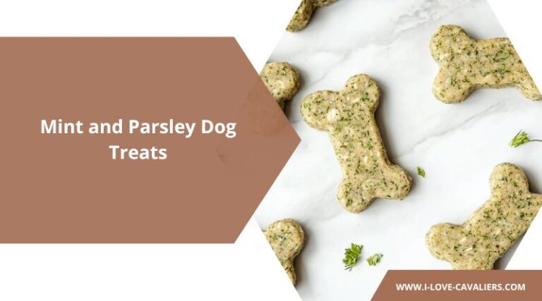 Mint and Parsley Dog Treats: Natural Biscuits for Fresh Breath and ...