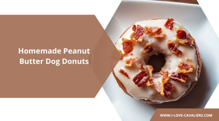 Homemade Peanut Butter Dog Donuts Recipe