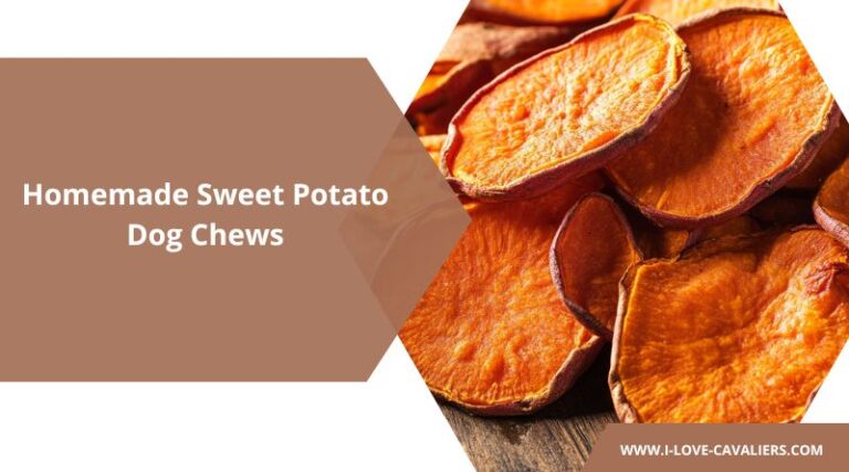 Homemade Sweet Potato Dog Chews