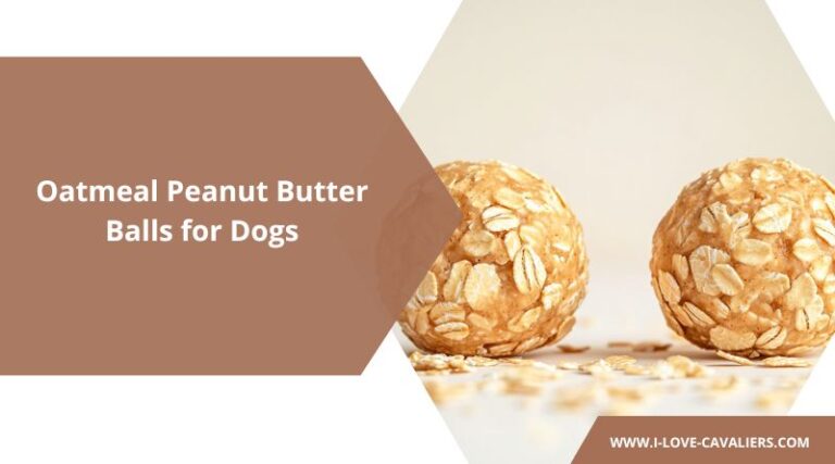 Oatmeal Peanut Butter Balls for Dogs (No-Bake Dog Treats)