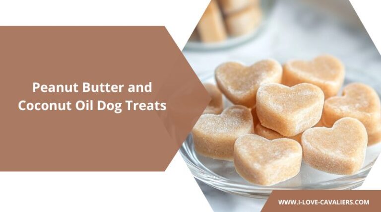 3-Ingredient Peanut Butter and Coconut Oil Dog Treats