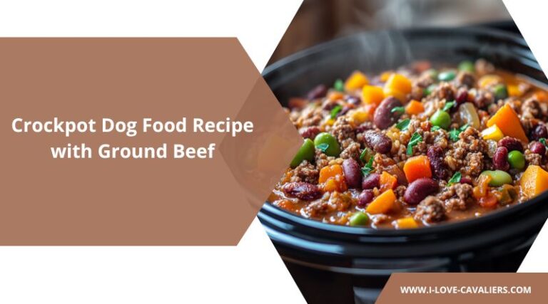 Crockpot Dog Food Recipe with Ground Beef