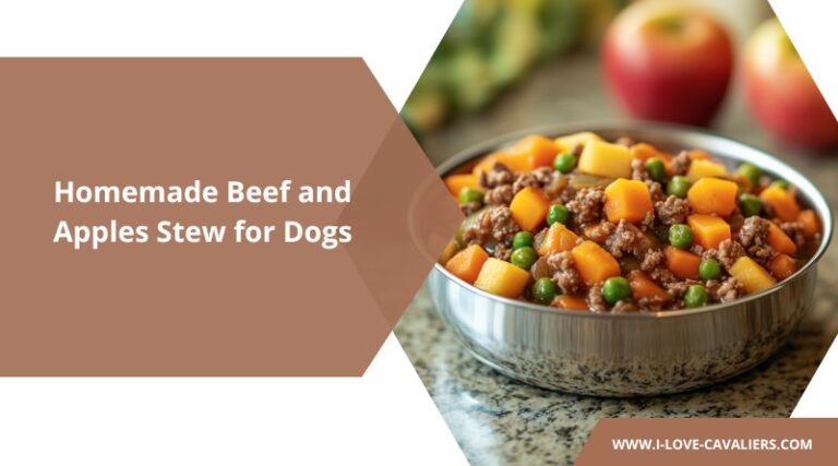 Beef and Apple Stew for Dogs: Wholesome Homemade Goodness
