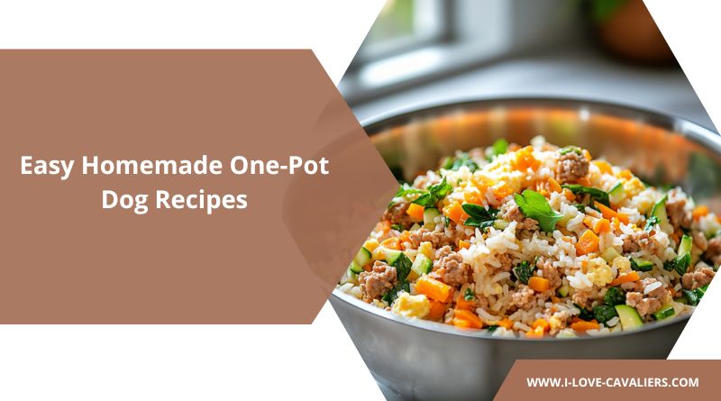 Easy Homemade One‑Pot Dog Recipes