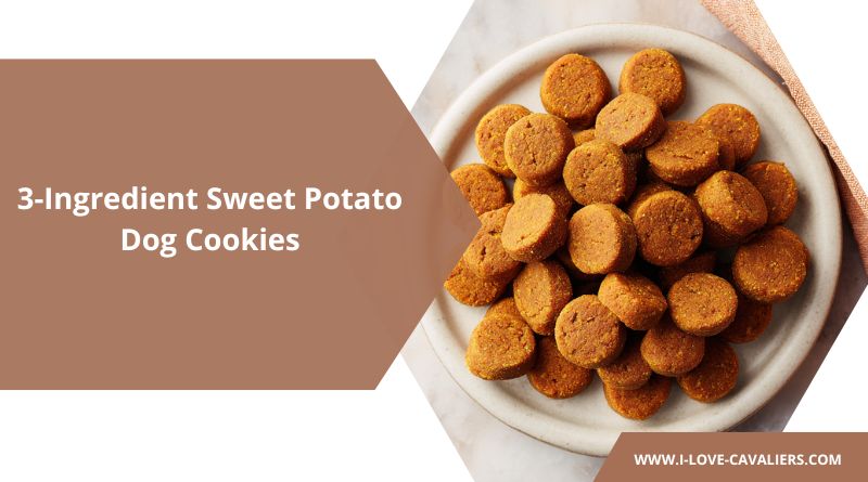 3-Ingredient Sweet Potato Dog Cookies: Easy Homemade Treats Your Pup ...