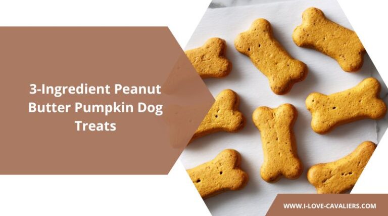 3-Ingredient Peanut Butter Pumpkin Baked Dog Treats - I-Love-Cavaliers.com