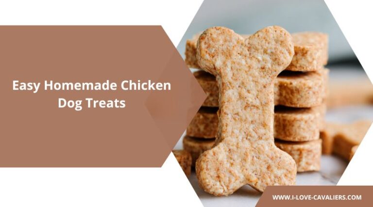 4-Ingredient Chicken Dog Treats (Simple Baked Goodness Your Pet Will Adore)