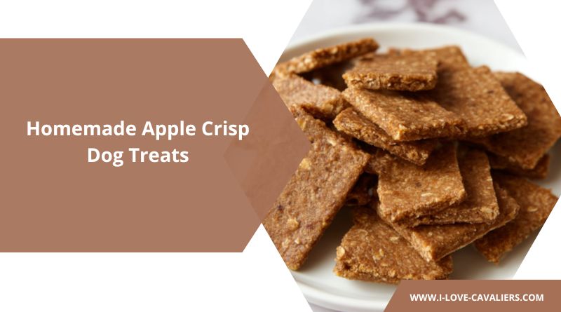 Homemade Apple Crisp Dog Treats (The Cozy "Fall in a Bite" Snack)