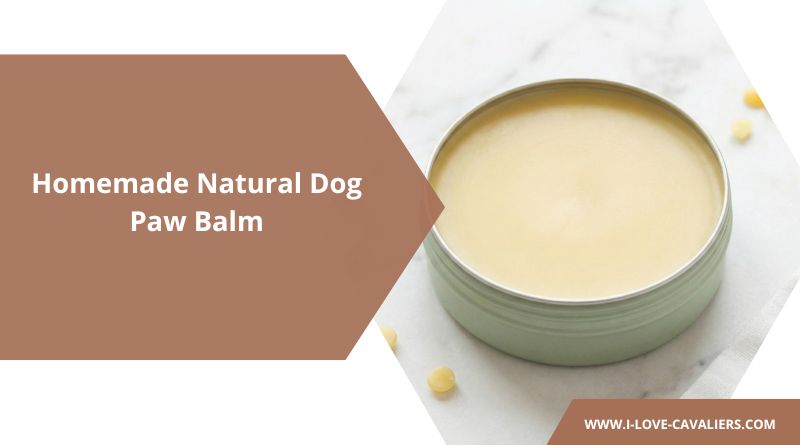 Homemade Natural Dog Paw Balm: A Healing Salve for Rough Paws