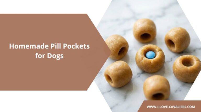Homemade Pill Pockets for Dogs (The "No-Spit" Solution)