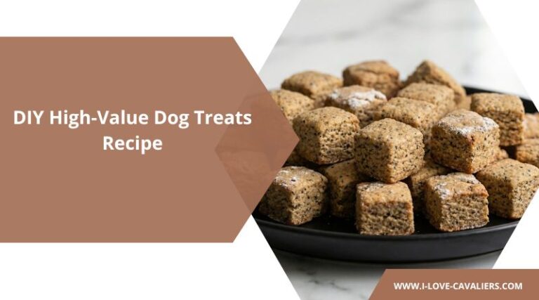 DIY High-Value Dog Treats (Easy 4-Ingredient Recipe)