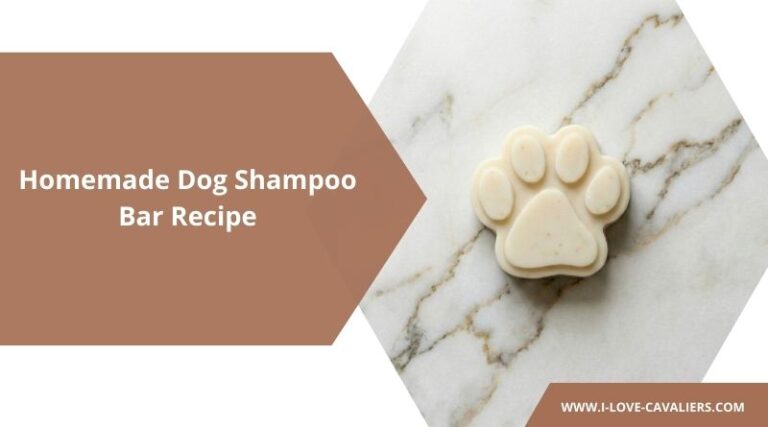 Homemade Dog Shampoo Bar Recipe: The Natural Soap Your Pup Actually ...