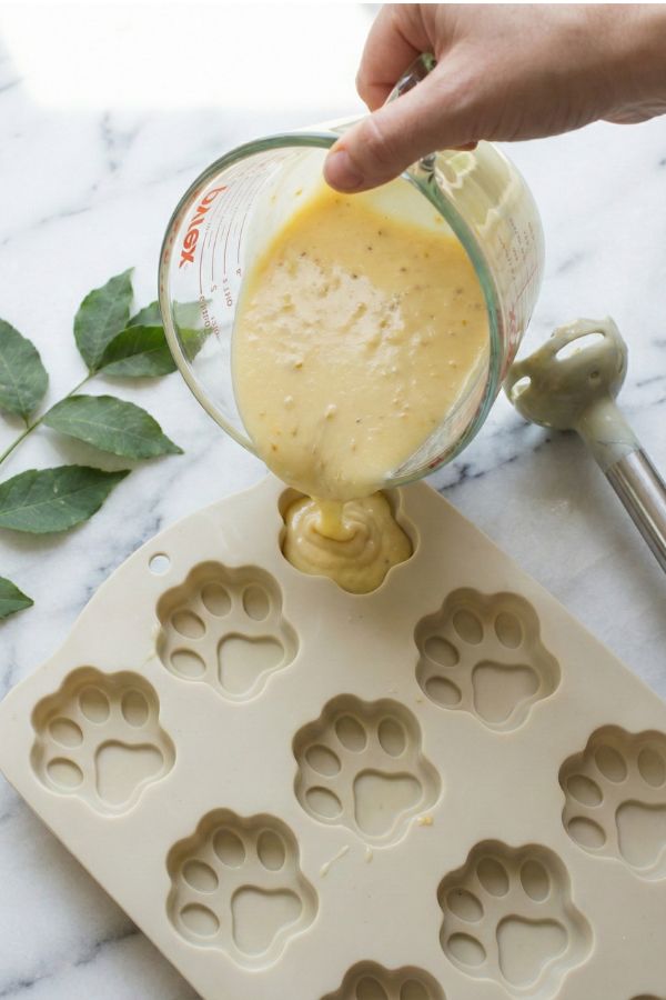 Homemade Dog Shampoo Bar Recipe: The Natural Soap Your Pup Actually ...