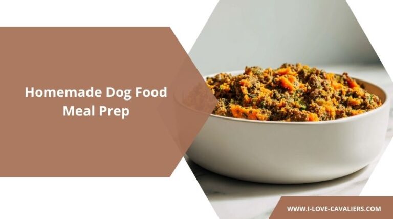 Homemade Dog Food Meal Prep: How to Cook a Full Week of Fresh Meals in ...