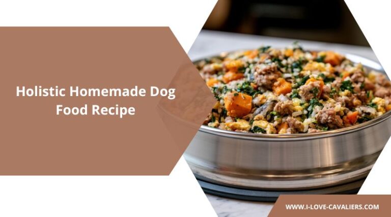 Holistic Homemade Dog Food Recipe (Built Around What Vets Actually Tell ...